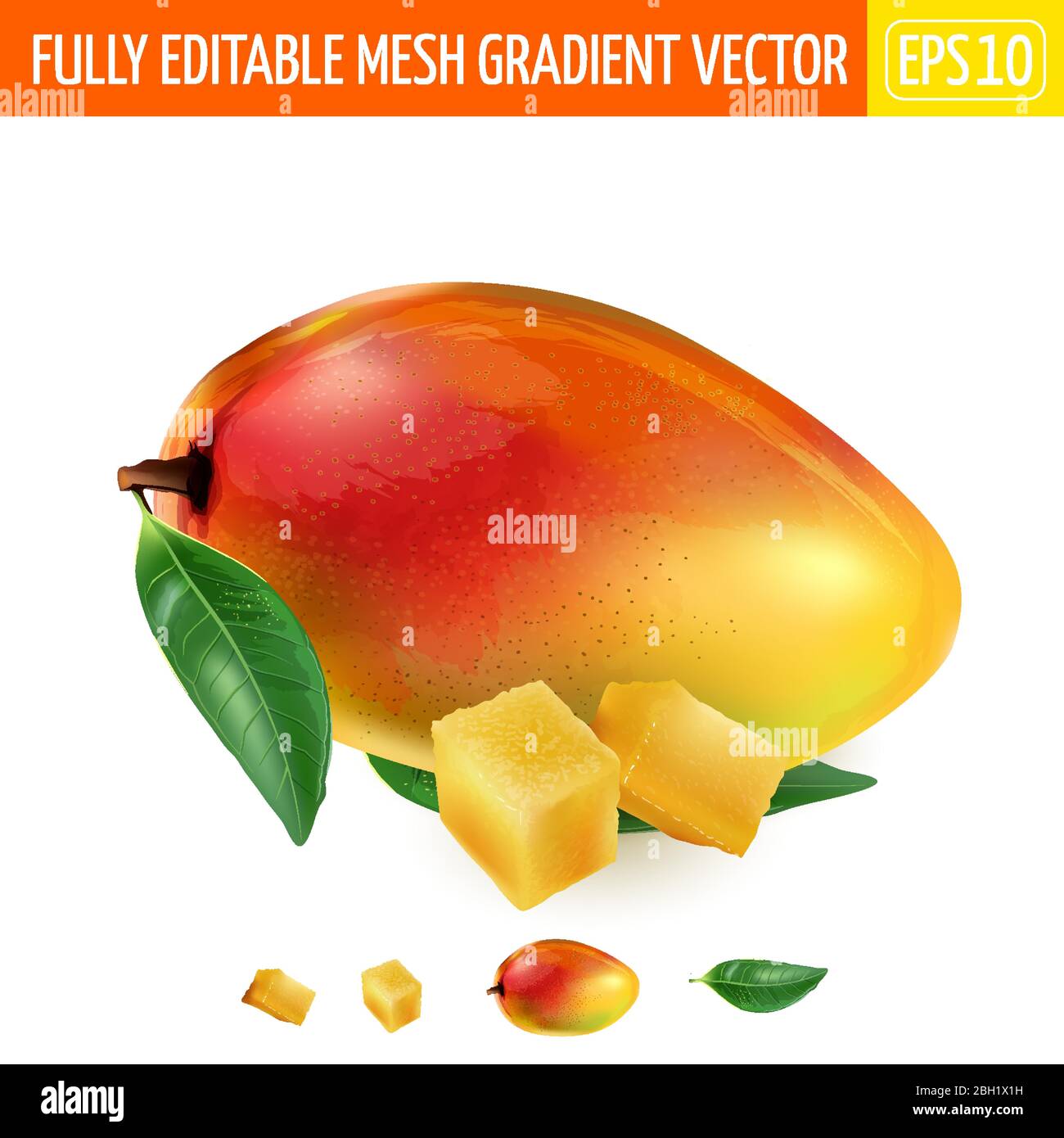 Mango leaves Stock Vector Images - Alamy