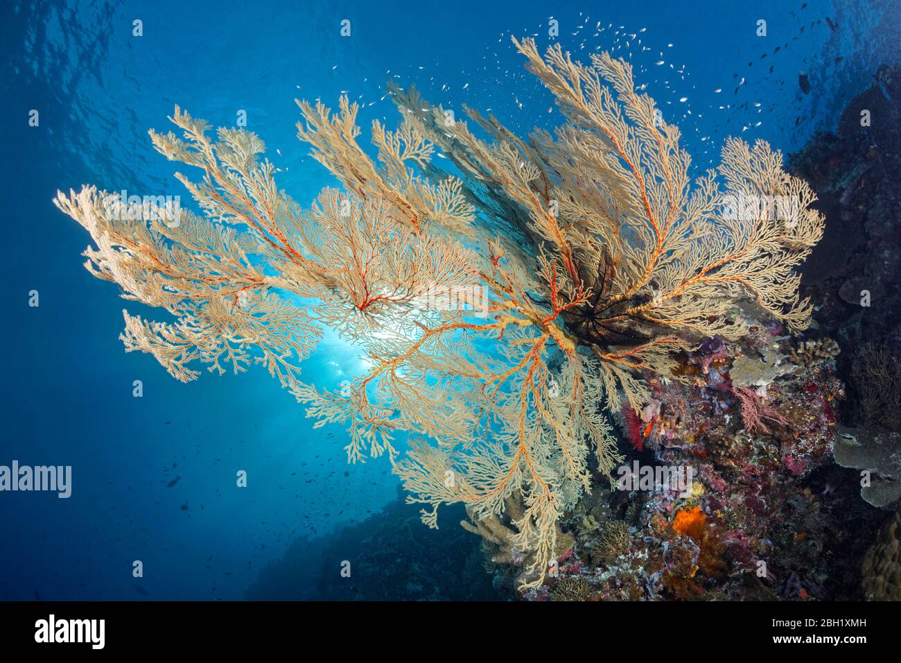 Drop off hi-res stock photography and images - Alamy