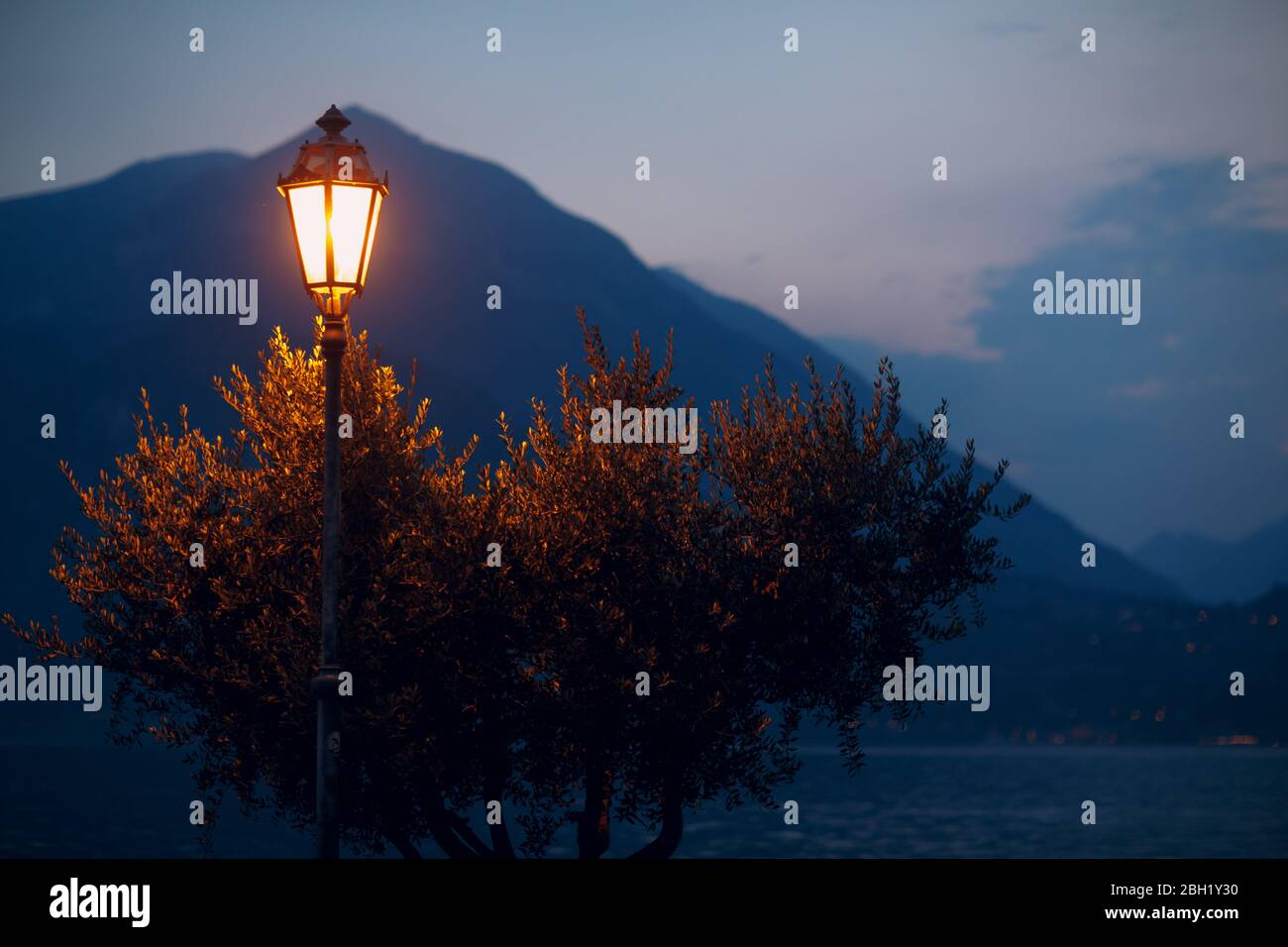 Como, Italy. Tree and bulb street light at night Stock Photo - Alamy