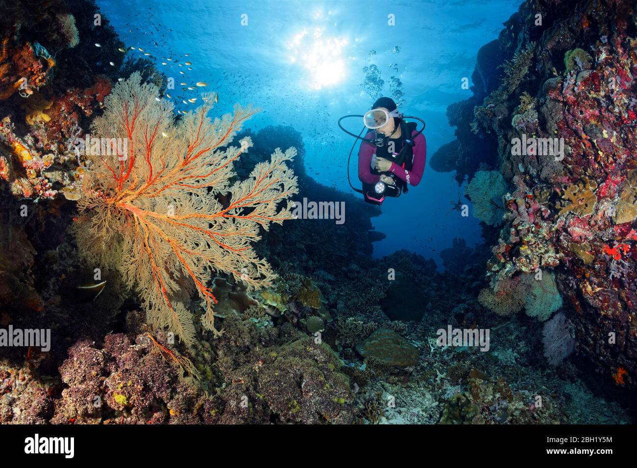 National Marine Park Tubbataha