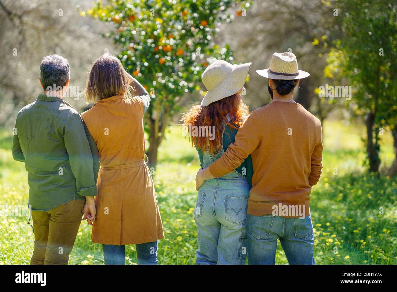 Rear view of group of friends looking at the landscape in the ...
