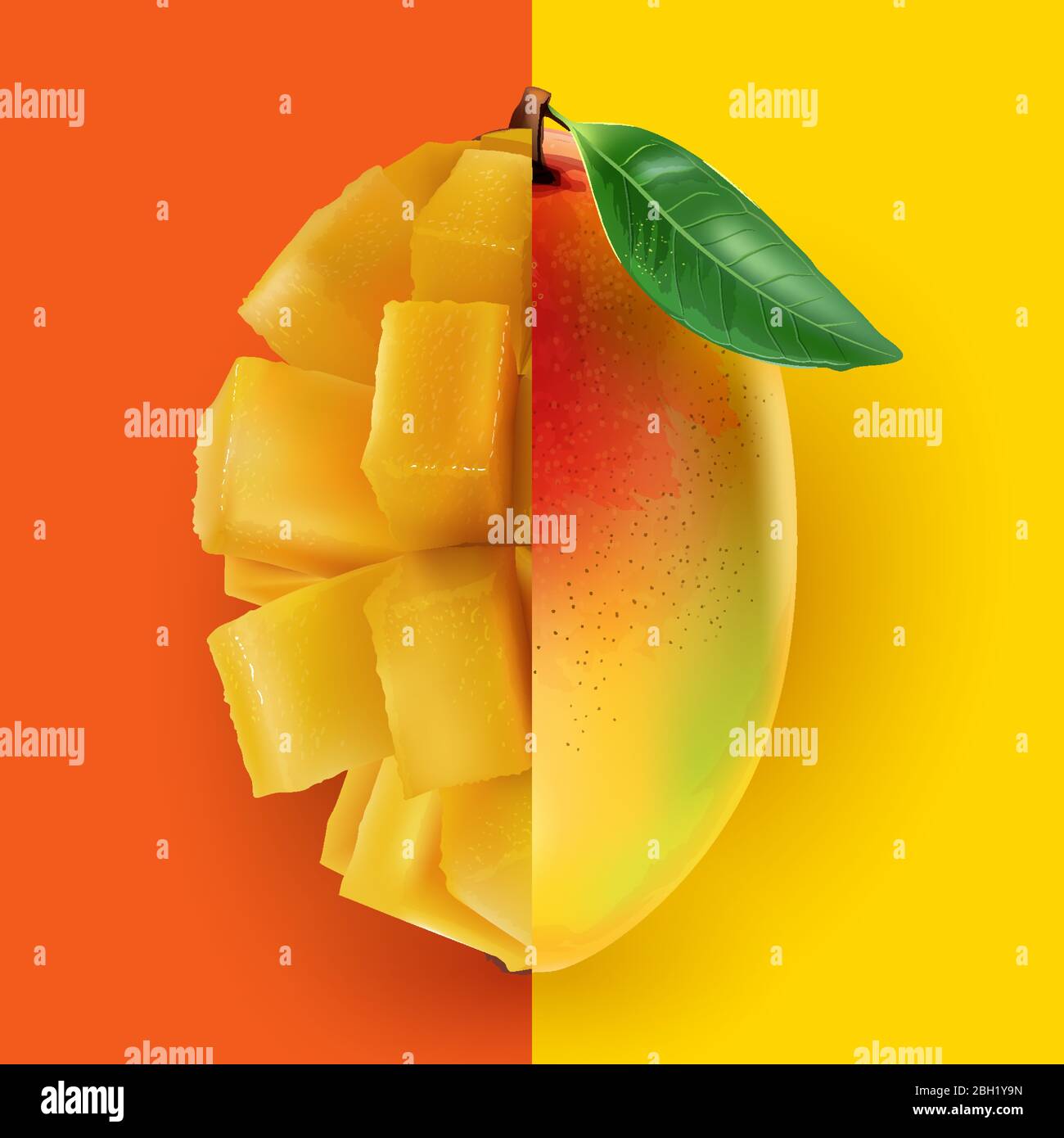 Mango leaves Stock Vector Images - Alamy
