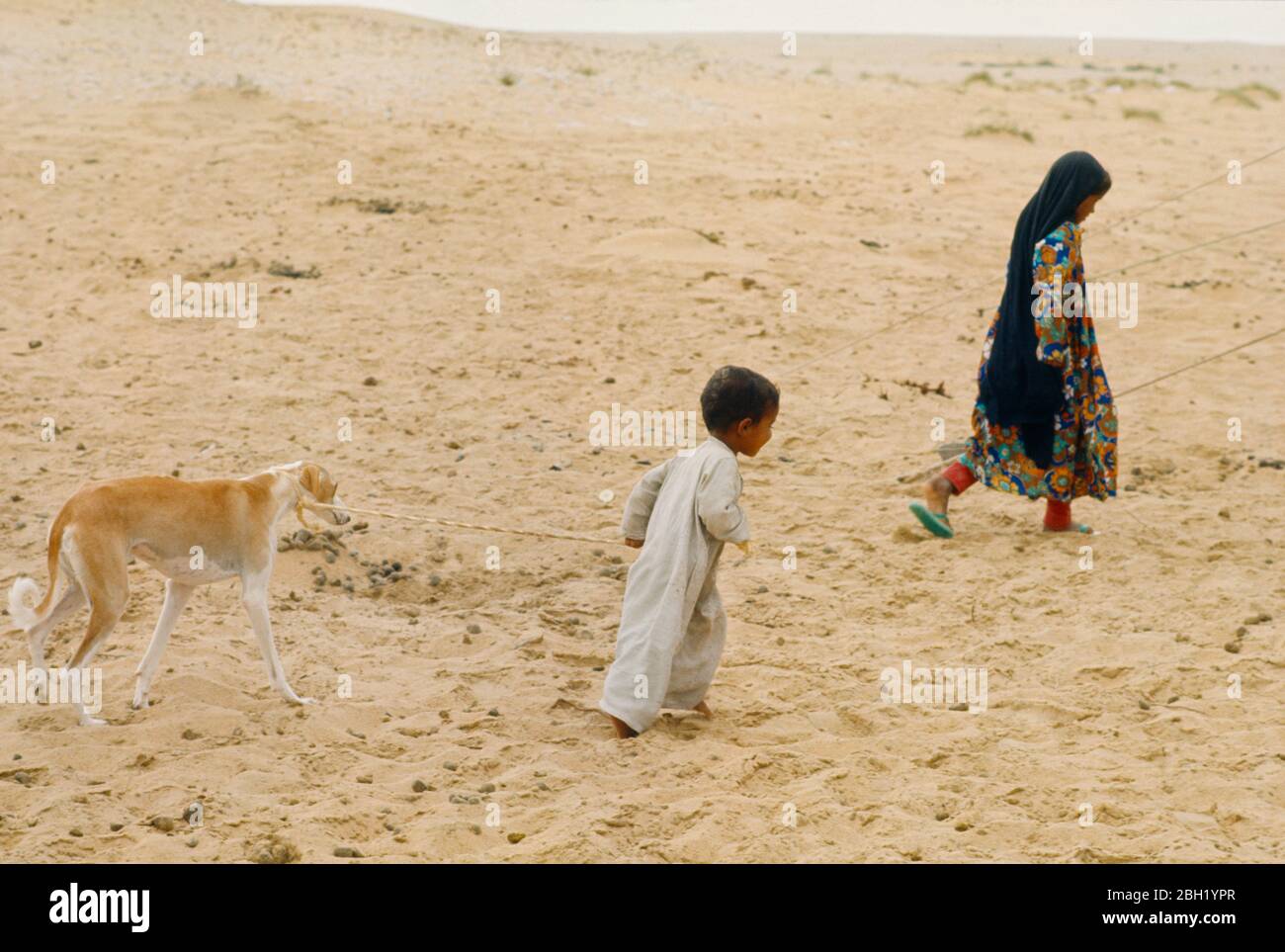 Qatar, Desert, Bedouin children, Girl and young boy with Saluki dog ...