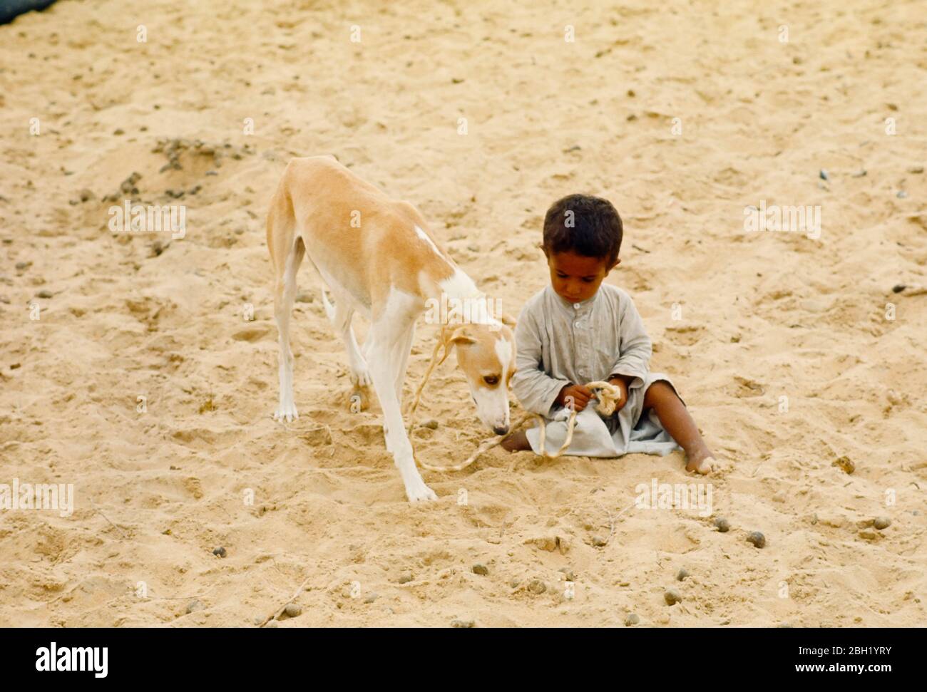 Qatar, Desert, Young Bedouin boy with Saluki dog Stock Photo - Alamy