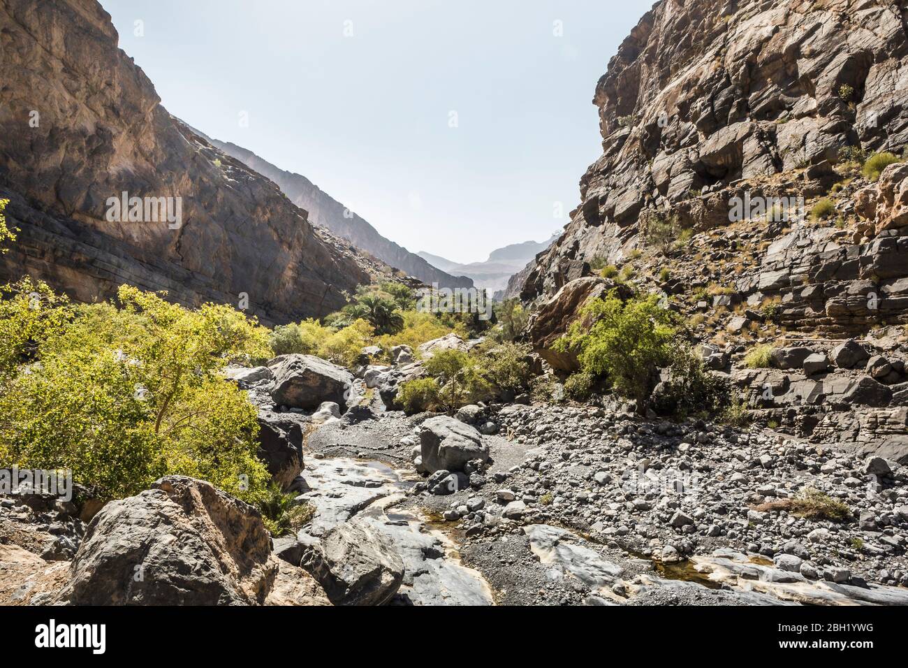 Dried riverbed hi-res stock photography and images - Alamy