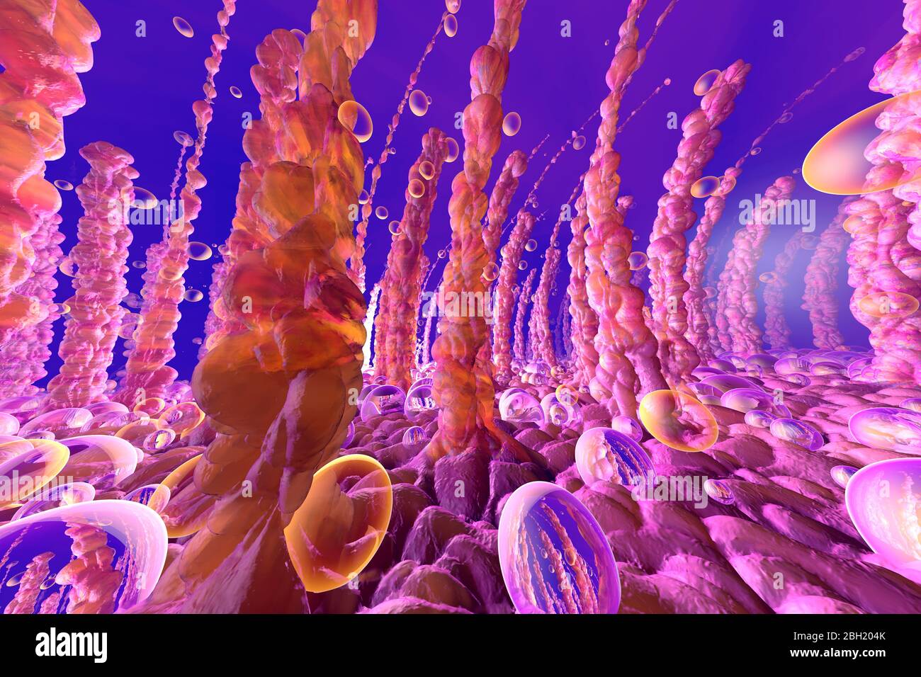 Villi human hi-res stock photography and images - Alamy
