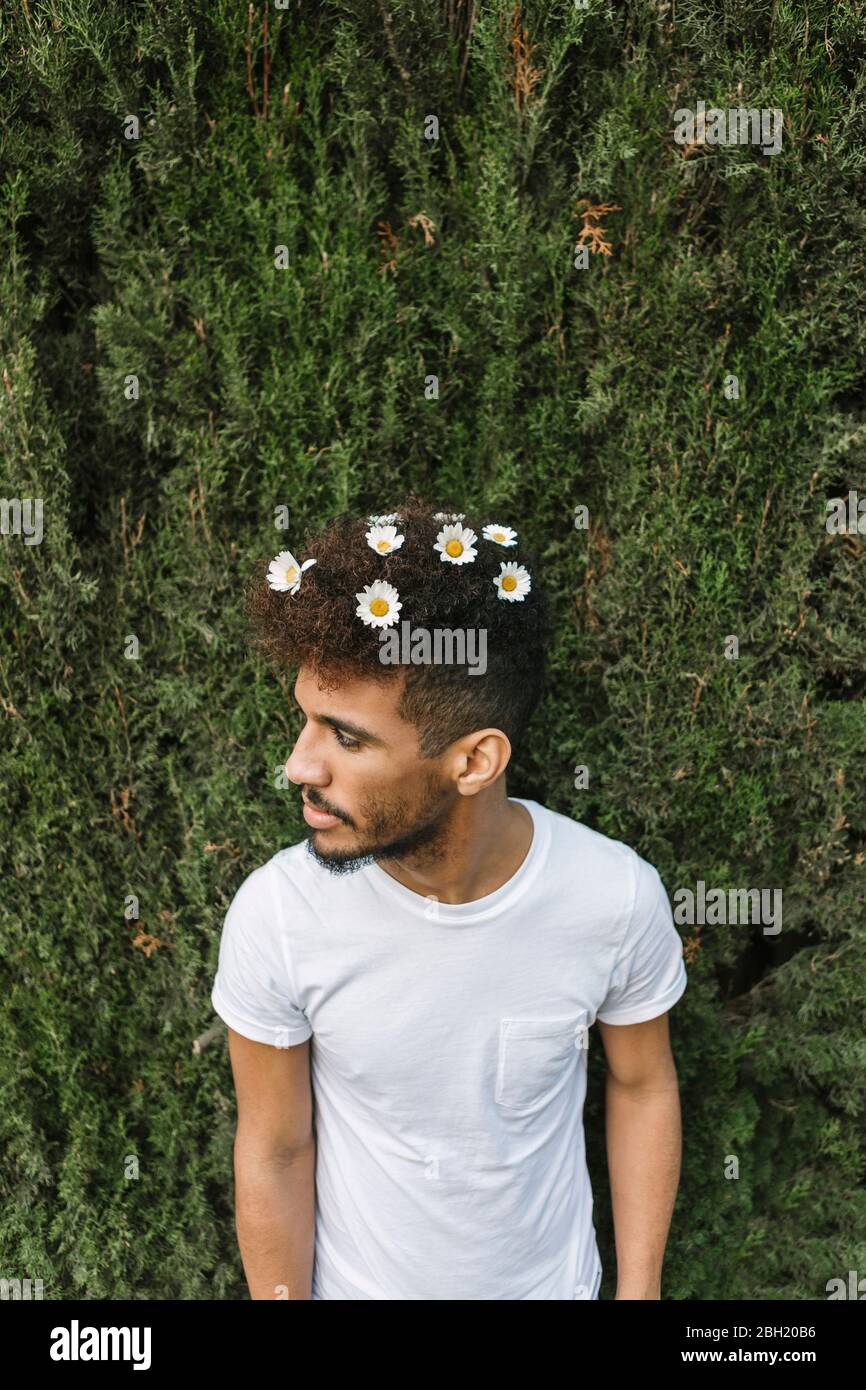 Young man with daisies in his hair watching something Stock Photo - Alamy