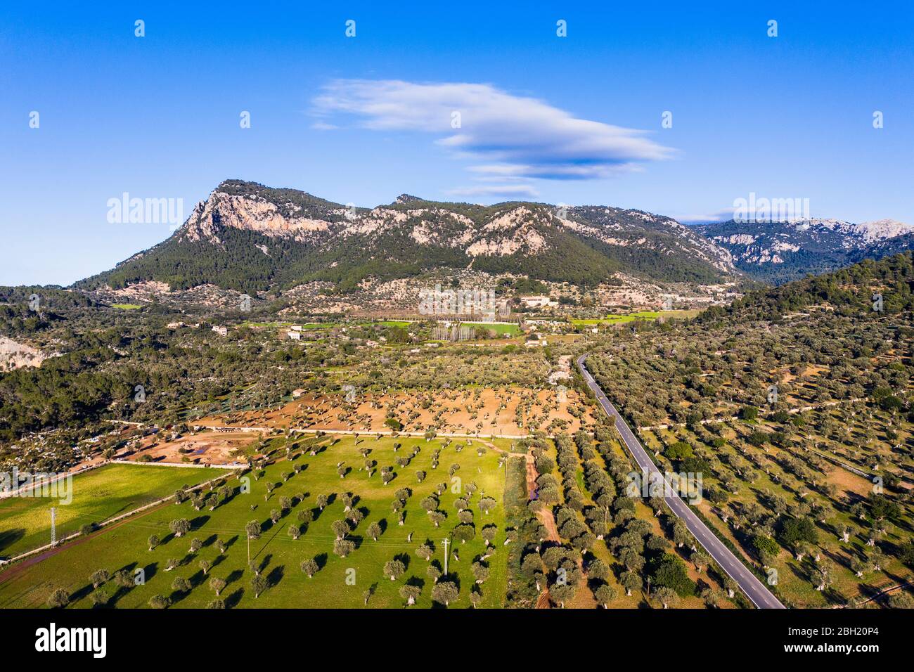 Mallorca orchard tree hi-res stock photography and images - Alamy