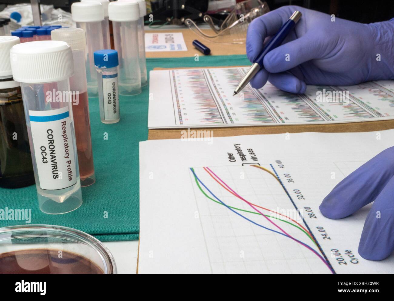 Scientist working on the DNA of a SARS-Cov-2 infected woman in a ...
