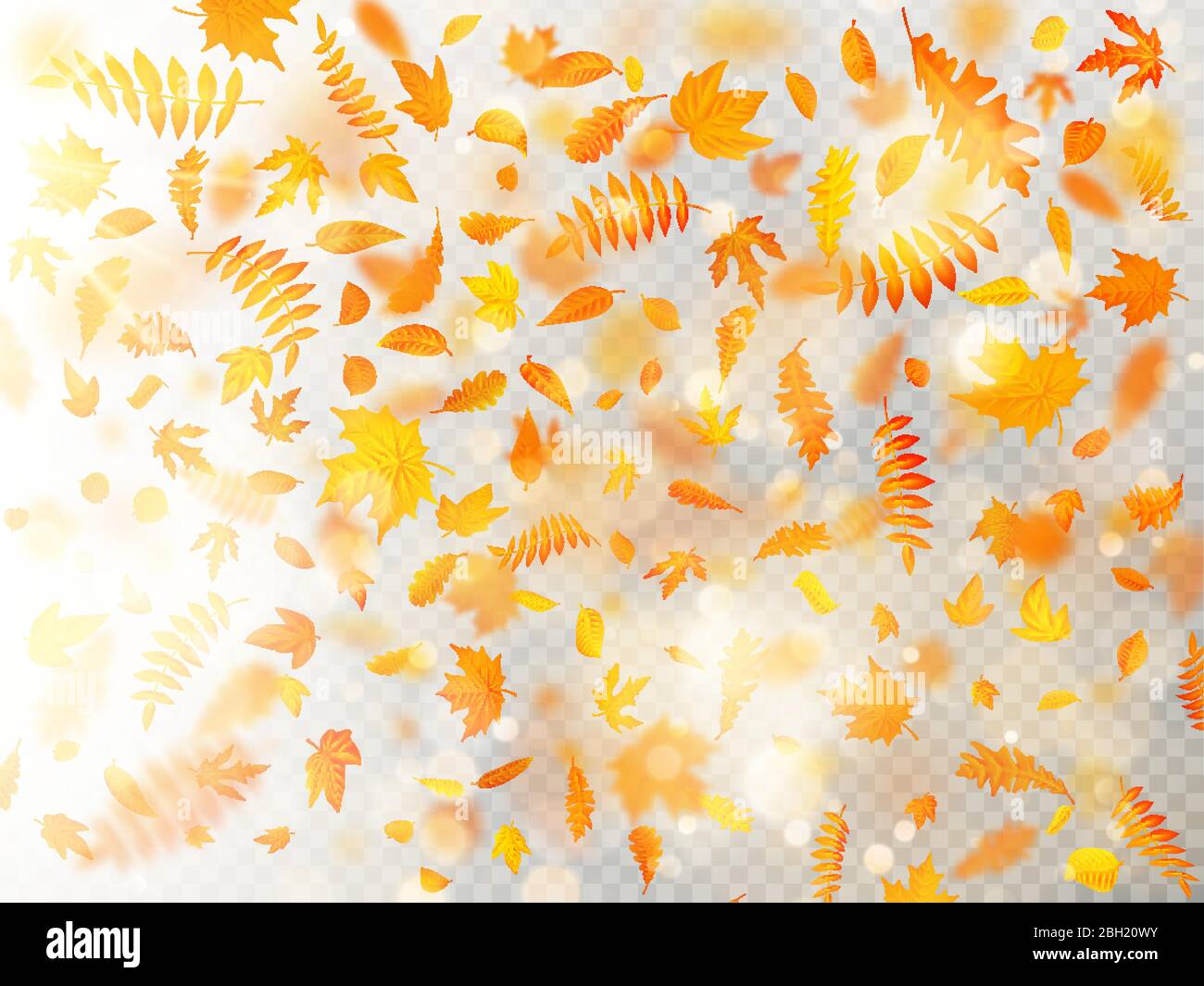 Effect of autumn falling leaves layer with shallow DOF blur. Autumnal ...