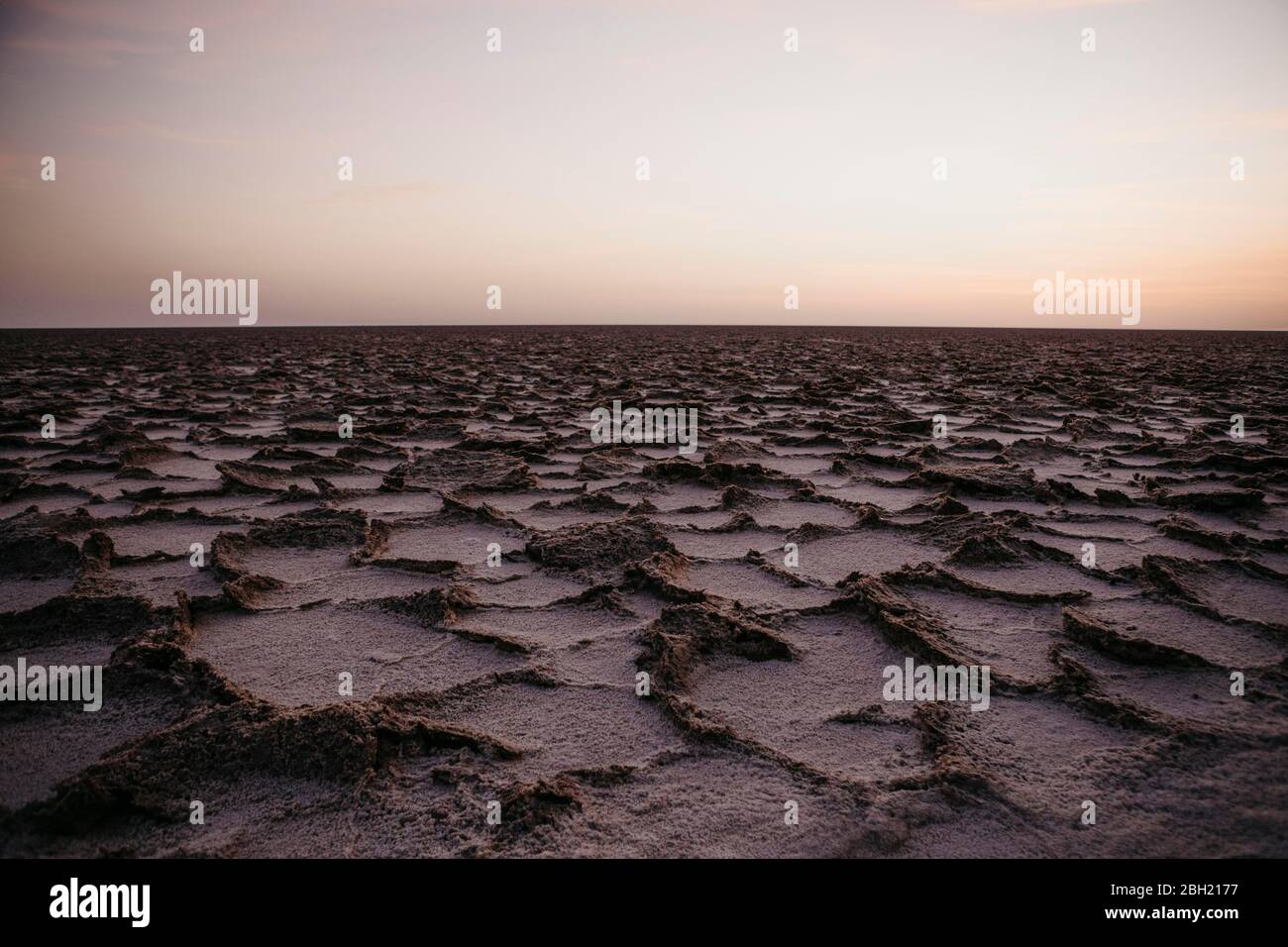 Afar region salt production hi-res stock photography and images - Alamy