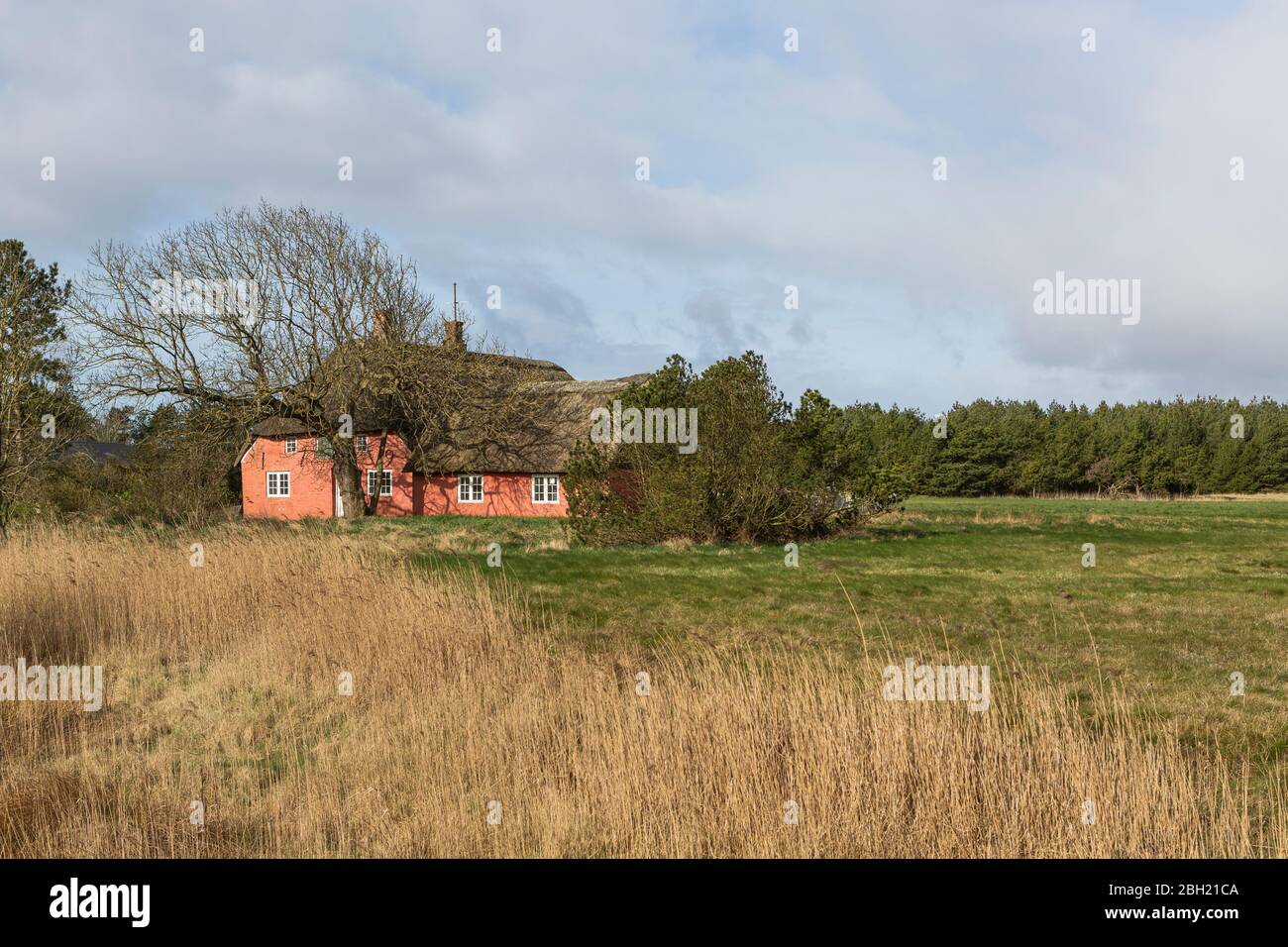 Denmark, Romo, Secluded house with thatched roof Stock Photo - Alamy