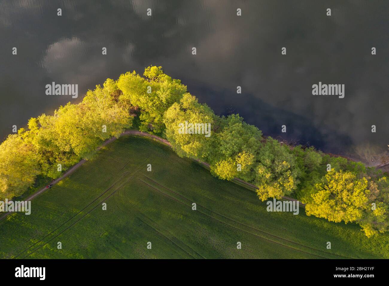 Germany, Brandenburg, Drone view of countryside field and line of ...