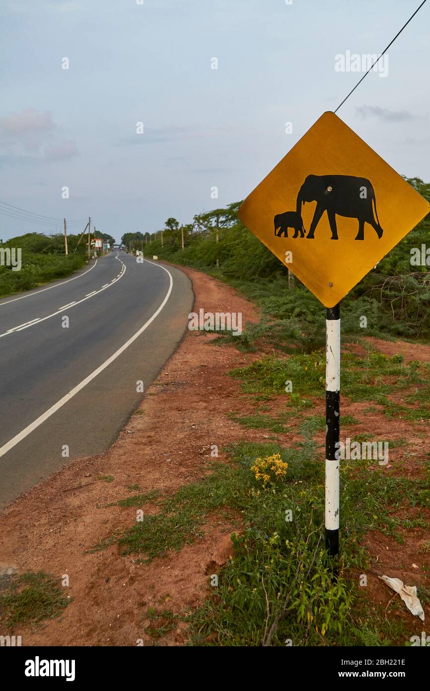 Elephant crossing sign yala national park hi-res stock photography and ...