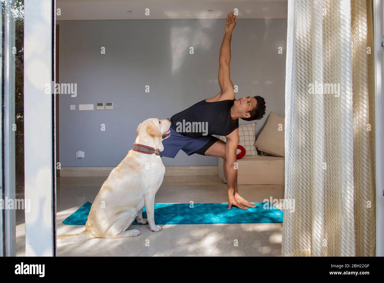 Pet exercises hi-res stock photography and images - Alamy