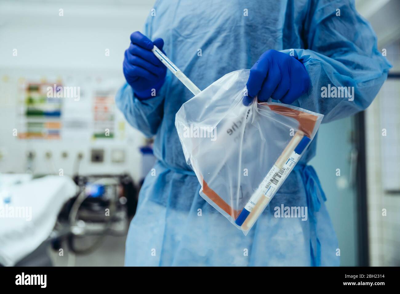 Close up cotton swab dna hi-res stock photography and images - Alamy