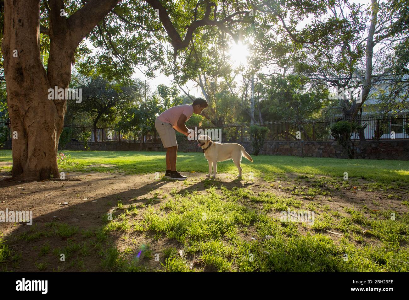 Man dog in greenery hi-res stock photography and images - Alamy