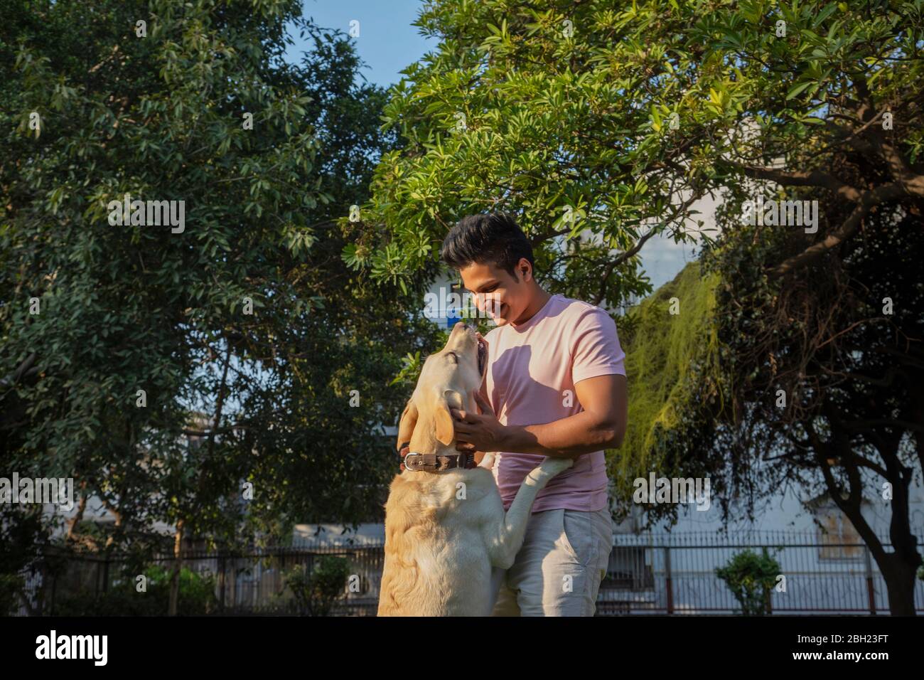 Man dog in greenery hi-res stock photography and images - Alamy