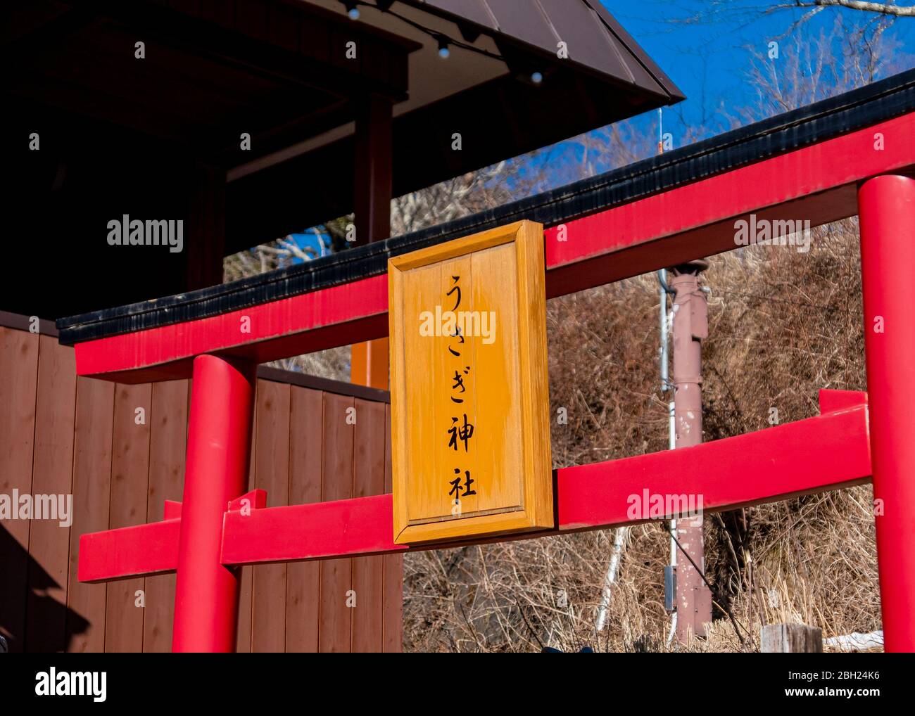 KAWAGUCHIKO, JAPAN – FEBRUARY 9,2020 : Usagi Jinja or Rabbit Shrine ...