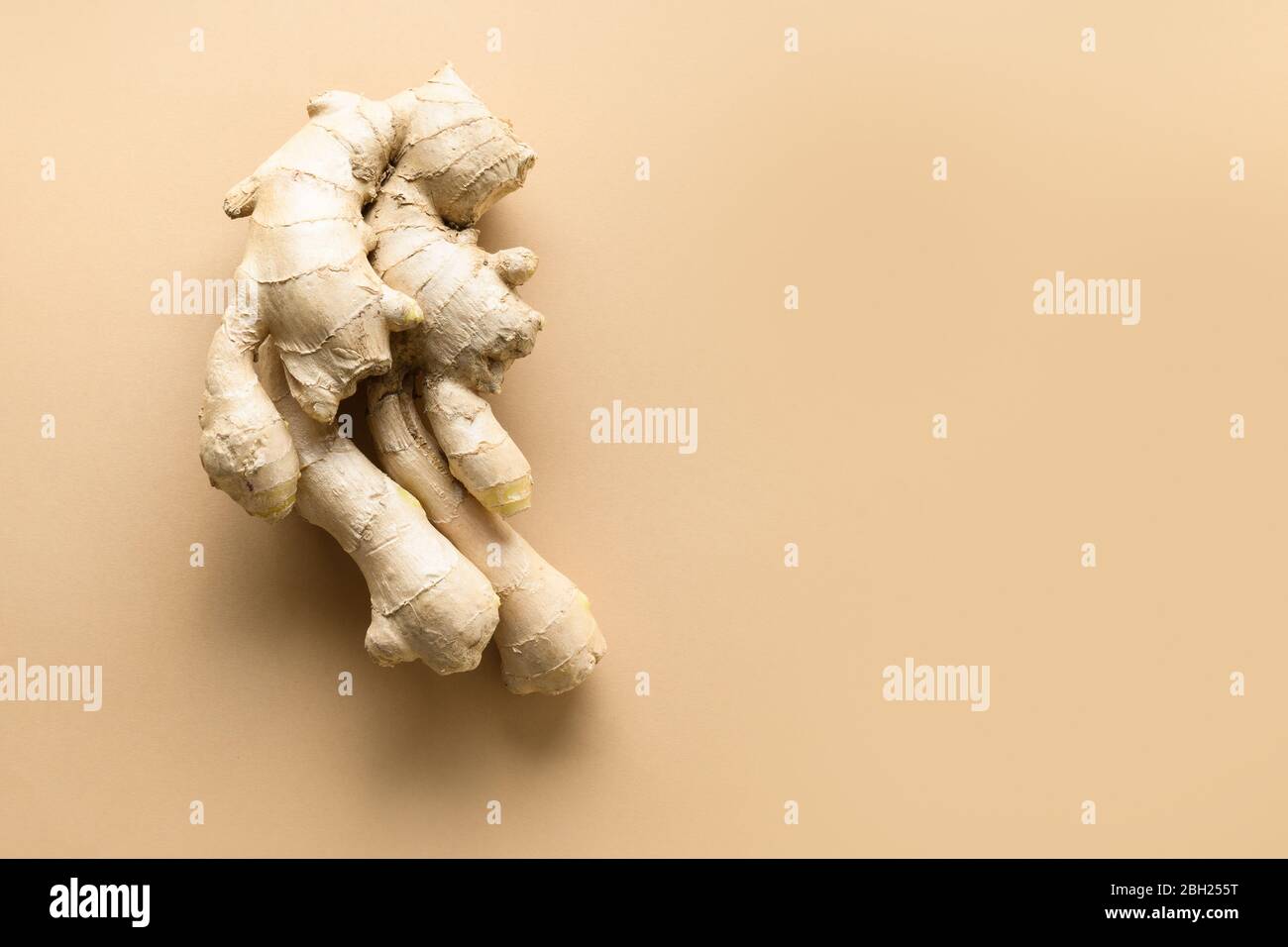 Fresh big ginger root on natural beige background. View from above ...
