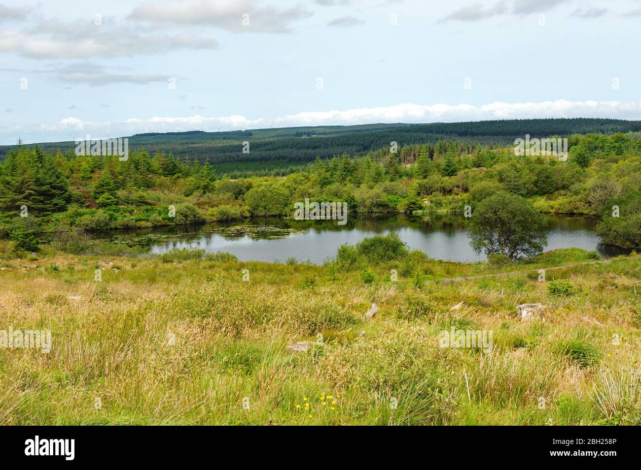 Fermanagh lakes hi-res stock photography and images - Alamy
