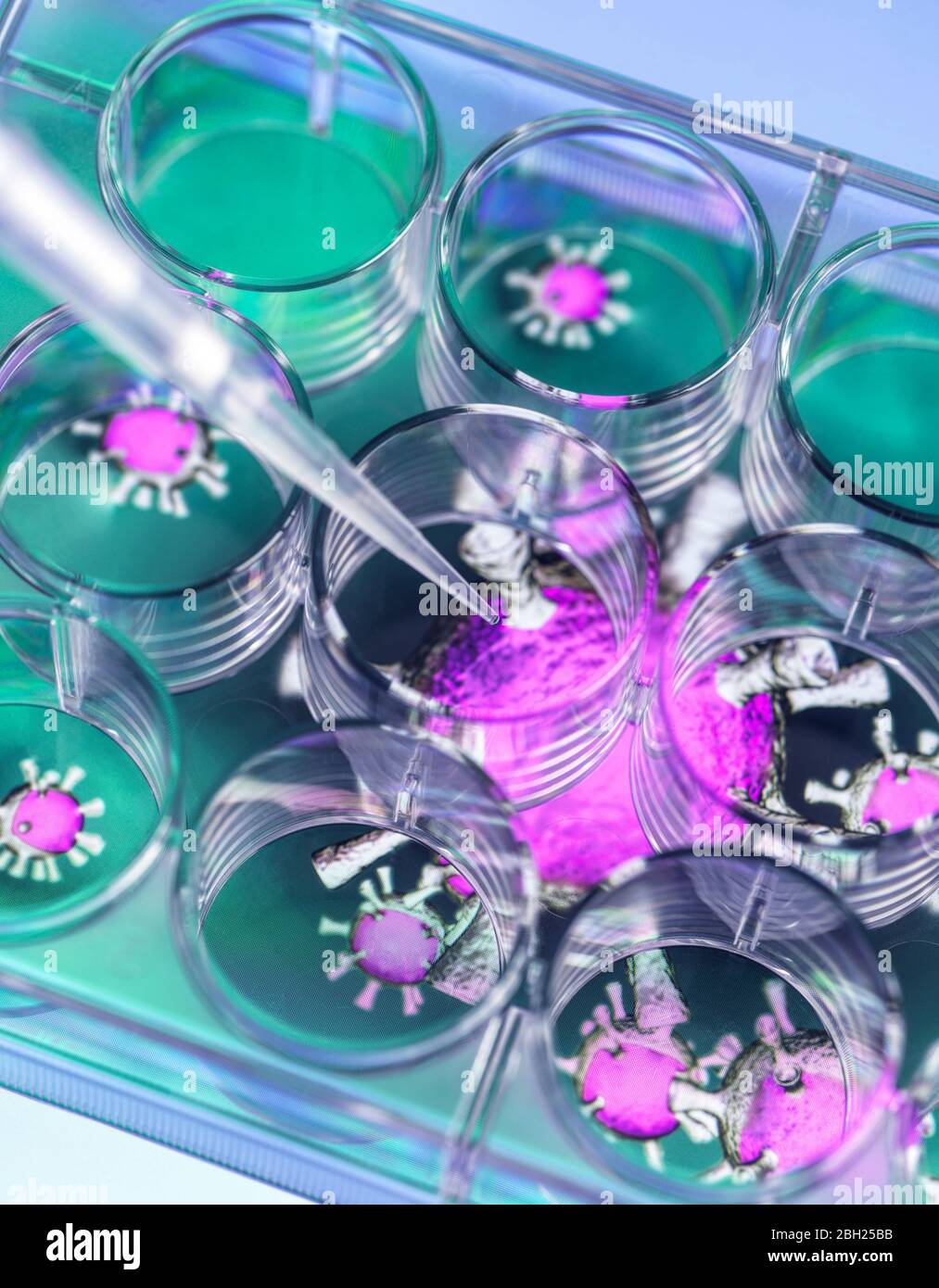 Microbiology plate hi-res stock photography and images - Alamy