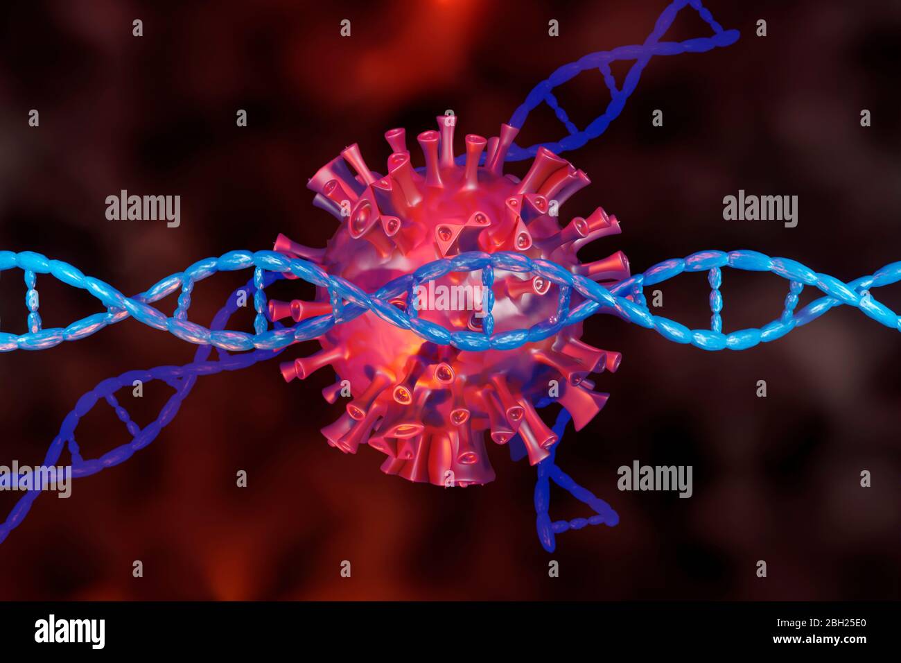 3D Rendered Illustration of a Corona virus with its DNA Stock Photo - Alamy