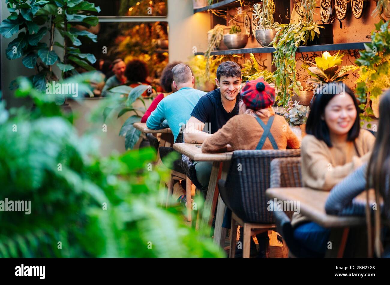 Friends having drinks in a restaurant, talking Stock Photo - Alamy
