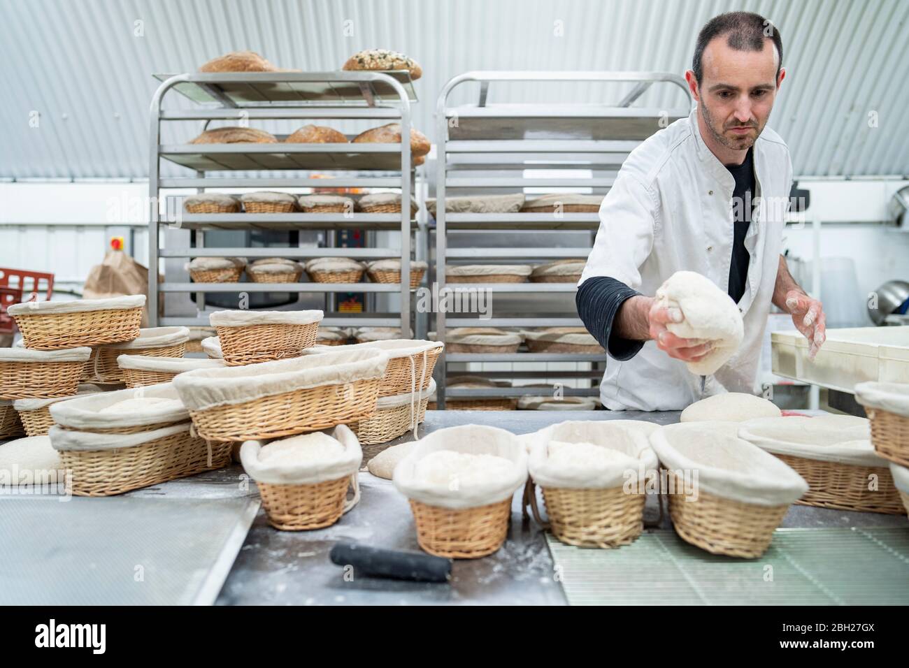 Baker putting dough into basket in bakery Stock Photo - Alamy