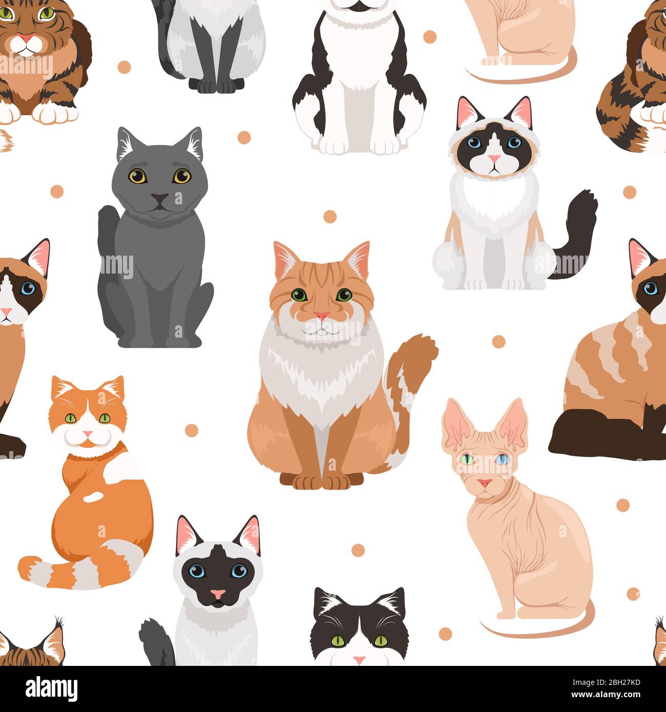 Vector seamless pattern of cute cats. Colored pictures of pets. Cat pet ...