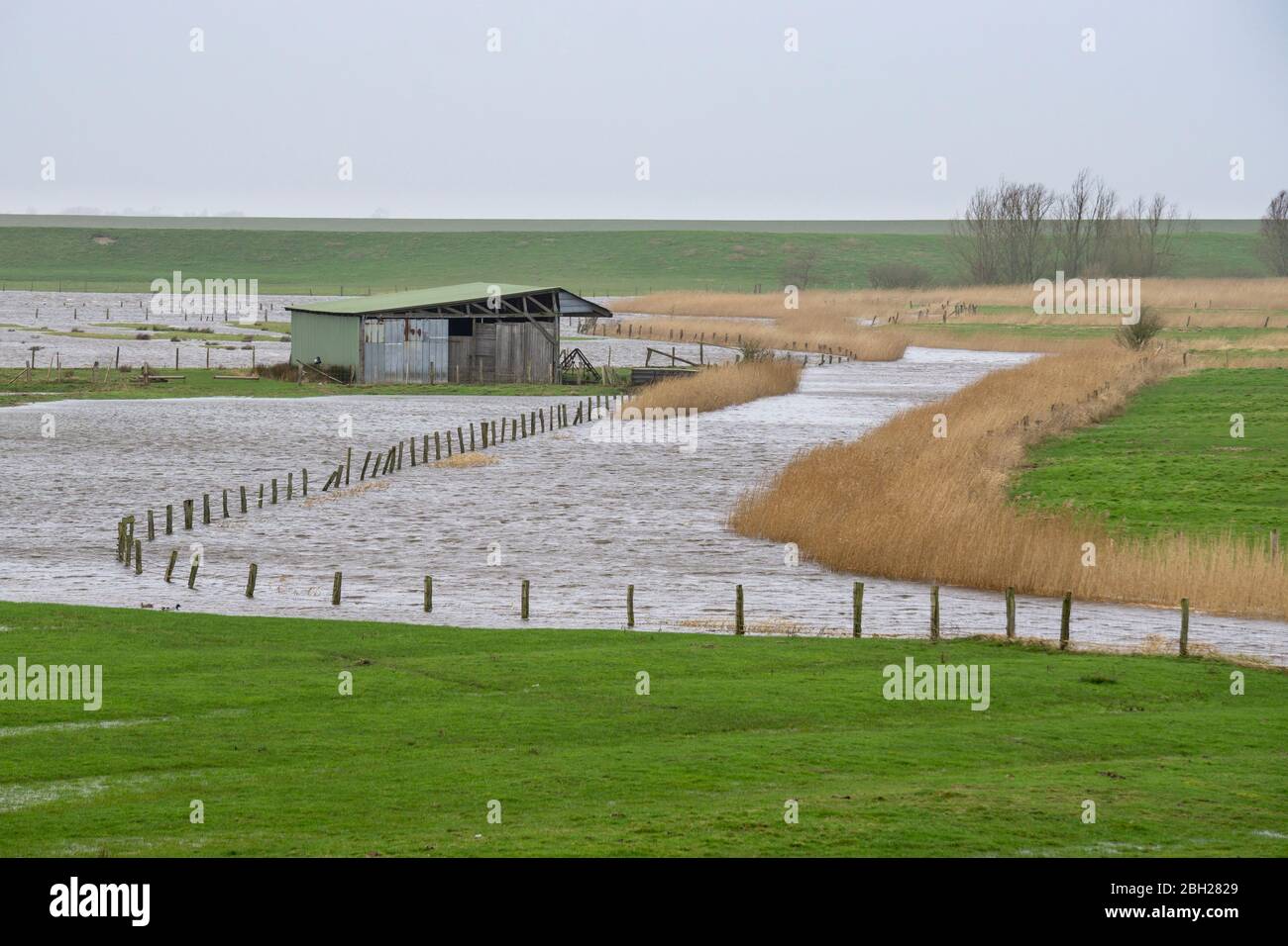 Old hut fenced salt marsh hi-res stock photography and images - Alamy