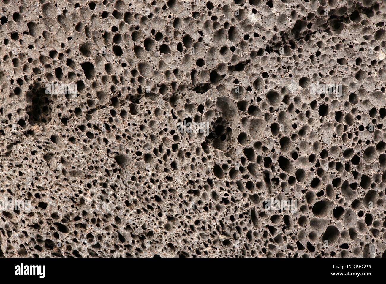 Surface of brown pumice - closeup. Pumice brown sponge texture for body ...