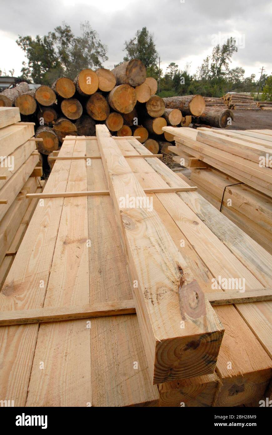 Orange, Texas USA, November 10, 2006: Raw and finished lumber at Rogers ...