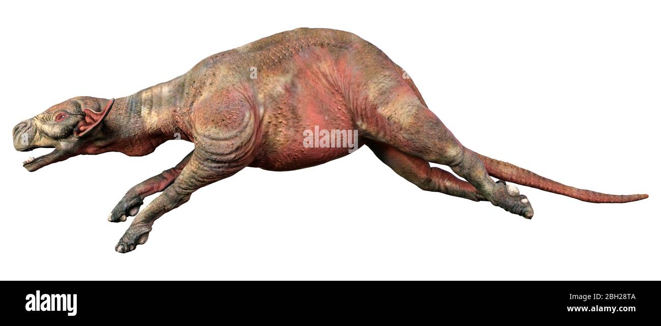 3D rendering of a fantasy creature isolated on white background Stock ...