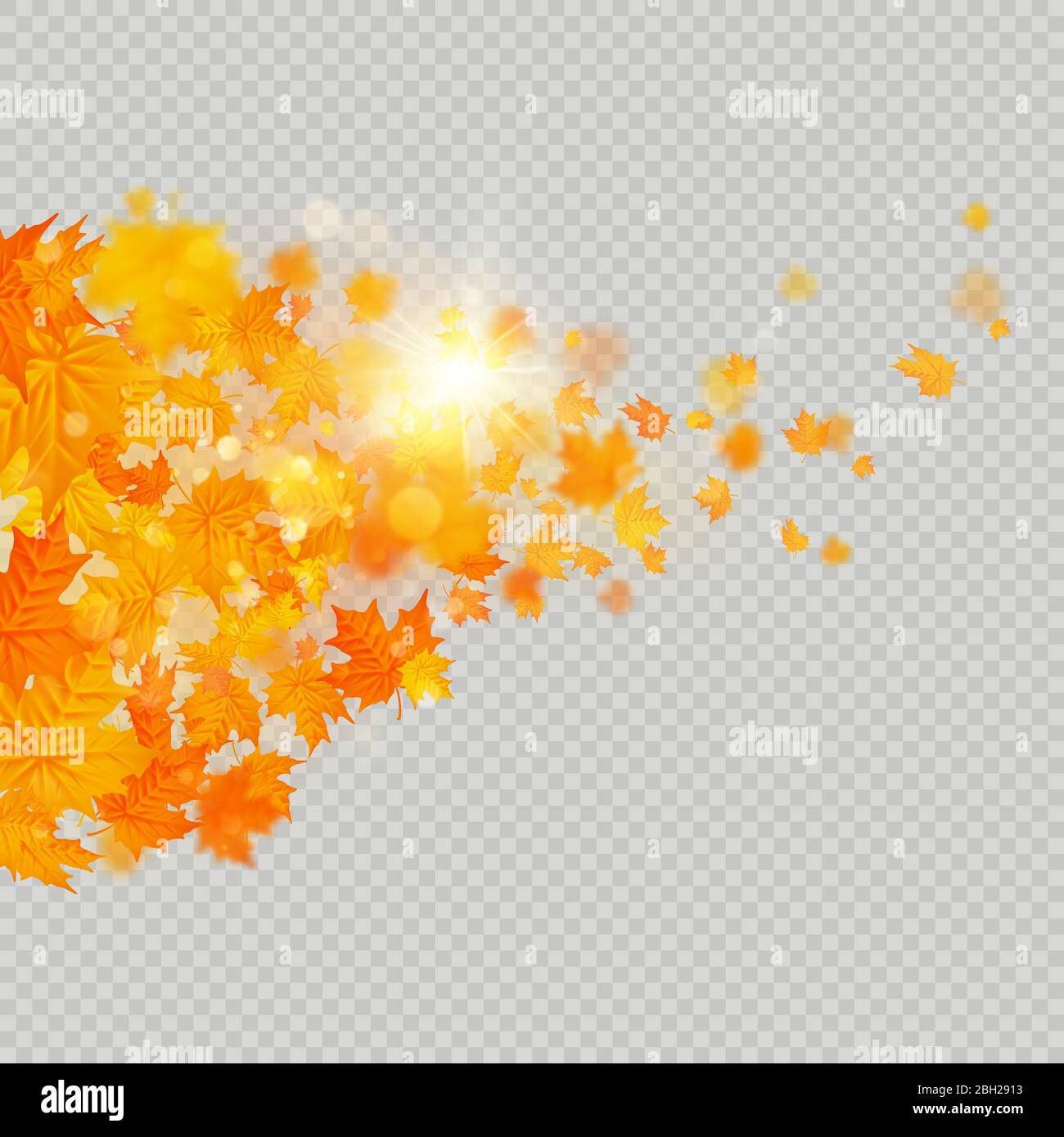 Fall maple leaves frame with delicate sun for decoration. Autumn leaves ...