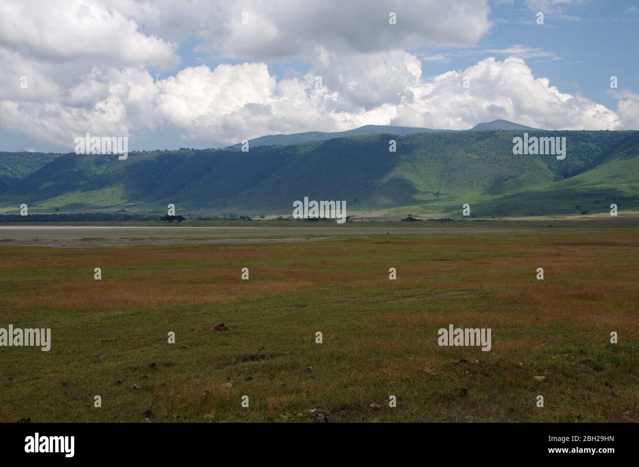 Landscape in the Ngorongoro crater in Tanzania, East Africa Stock Photo ...