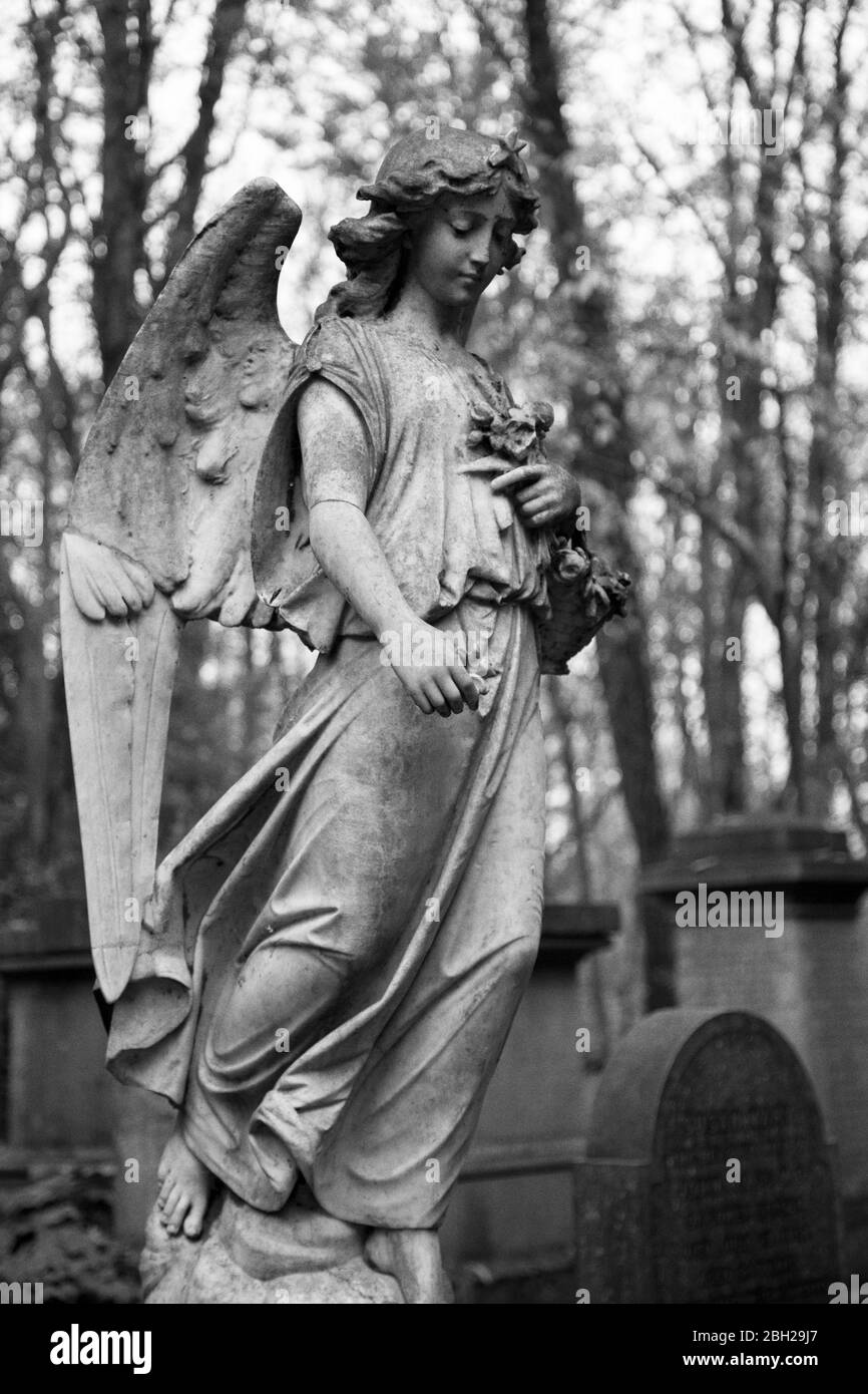 Angel tombstone highgate cemetery hi-res stock photography and images ...