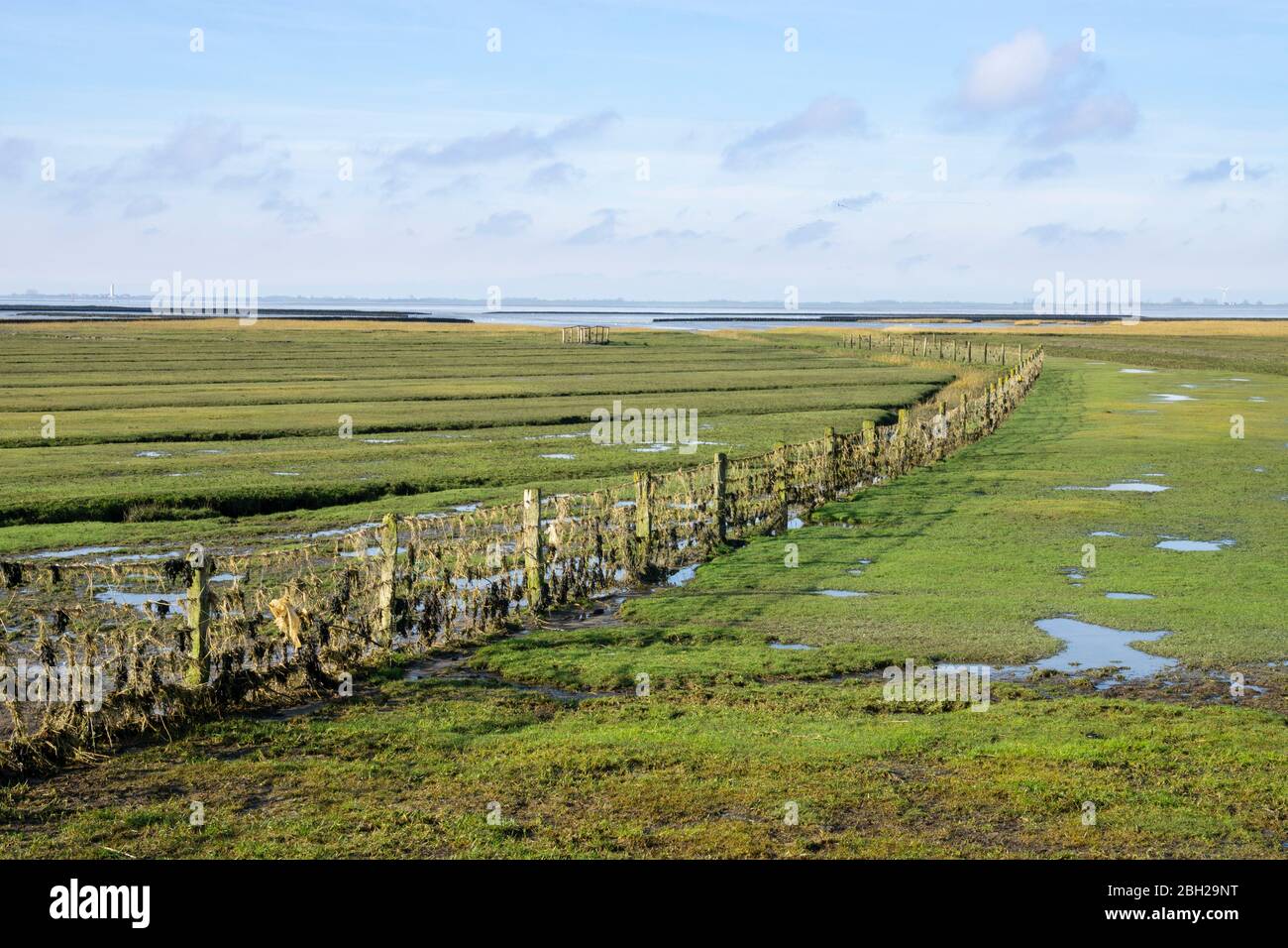Wetlands in national parks hi-res stock photography and images - Alamy