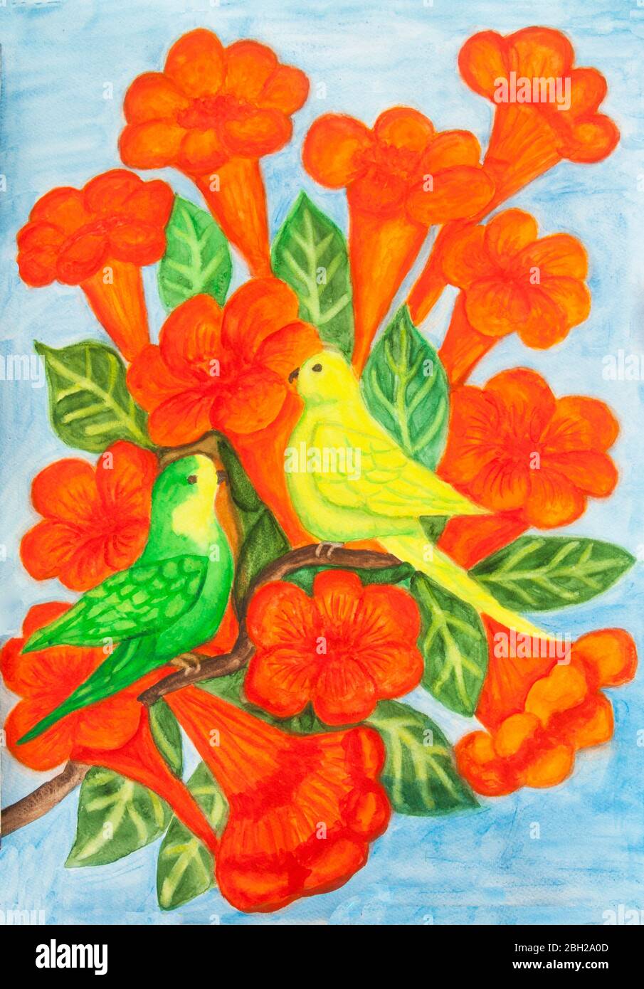 Two little parrots green and yelow on brach on campsis with orange ...