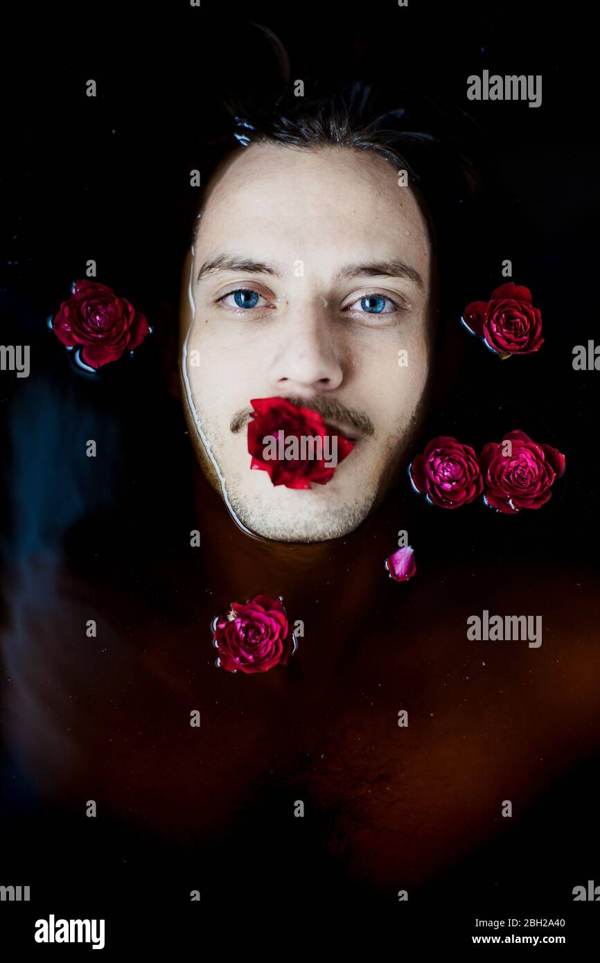 Portrait of young man with red rose in his mouth floating in water ...