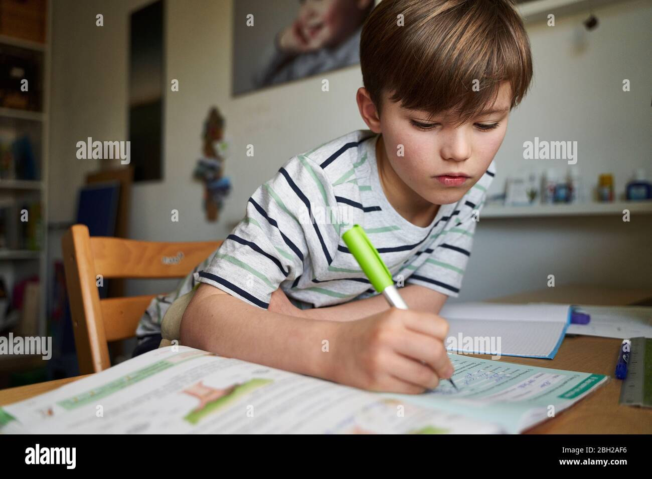Portrait of boy doing homework Stock Photo - Alamy