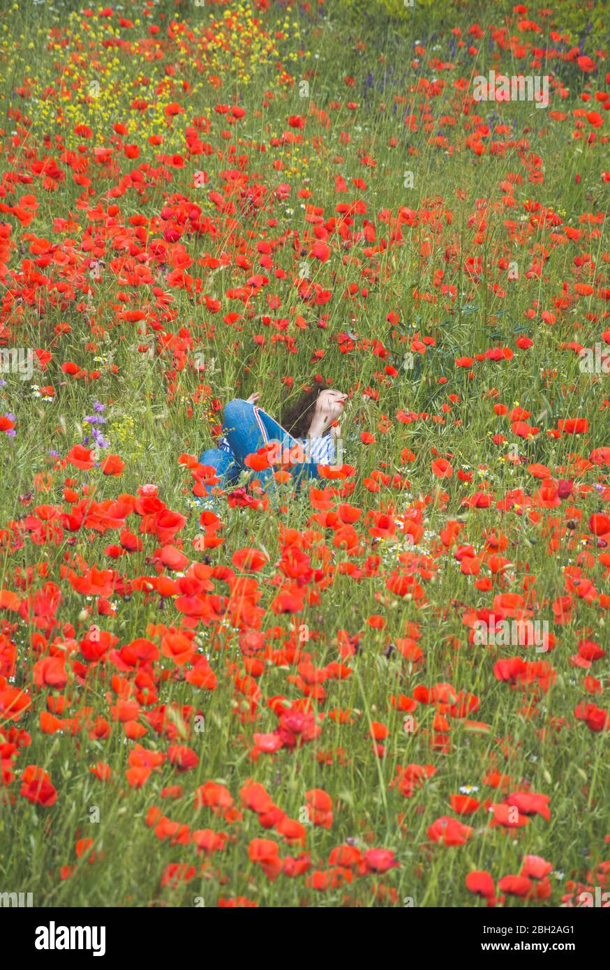 Young woman lying in poppy field Stock Photo - Alamy