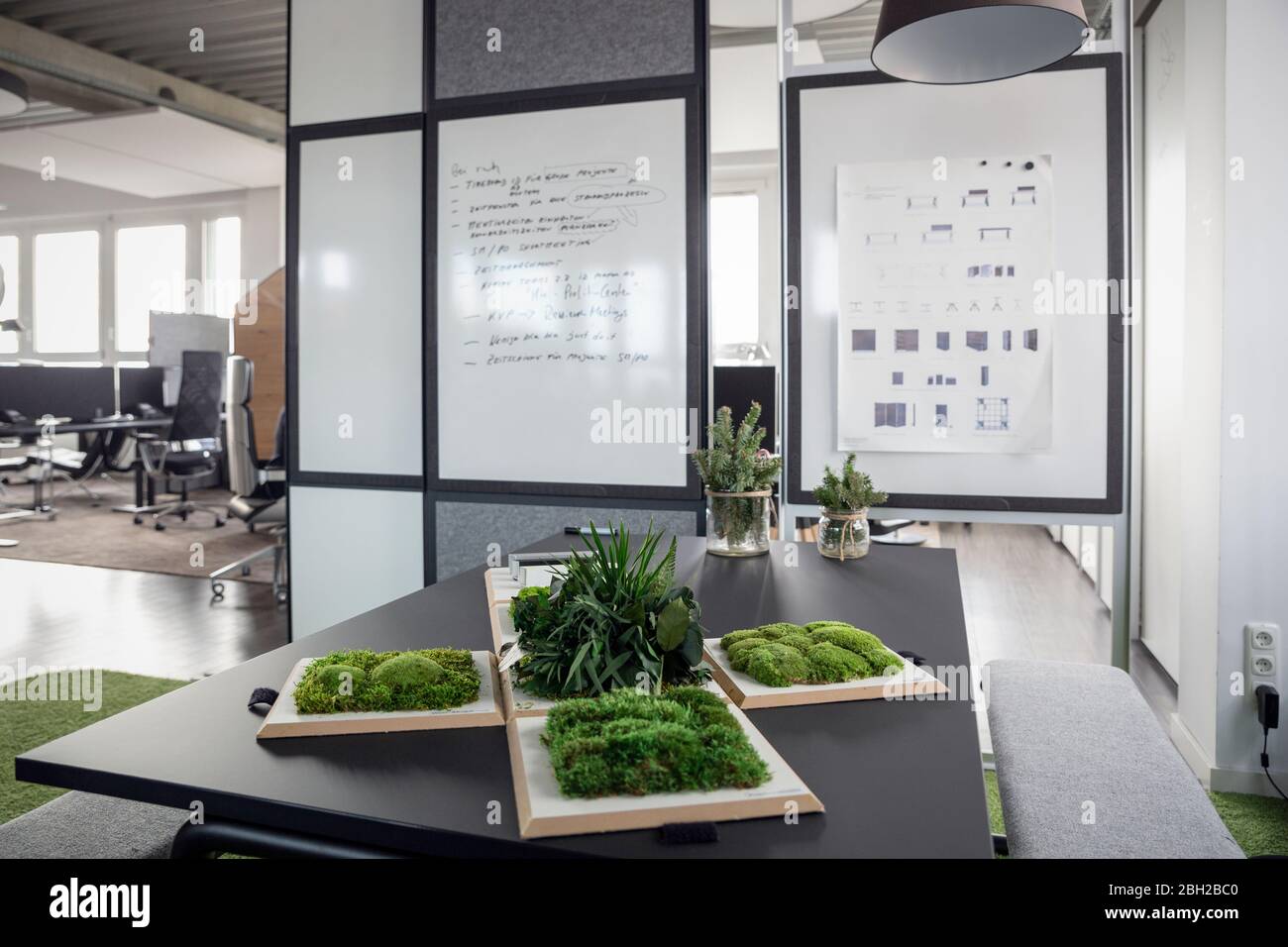 Plants on office table hi-res stock photography and images - Alamy