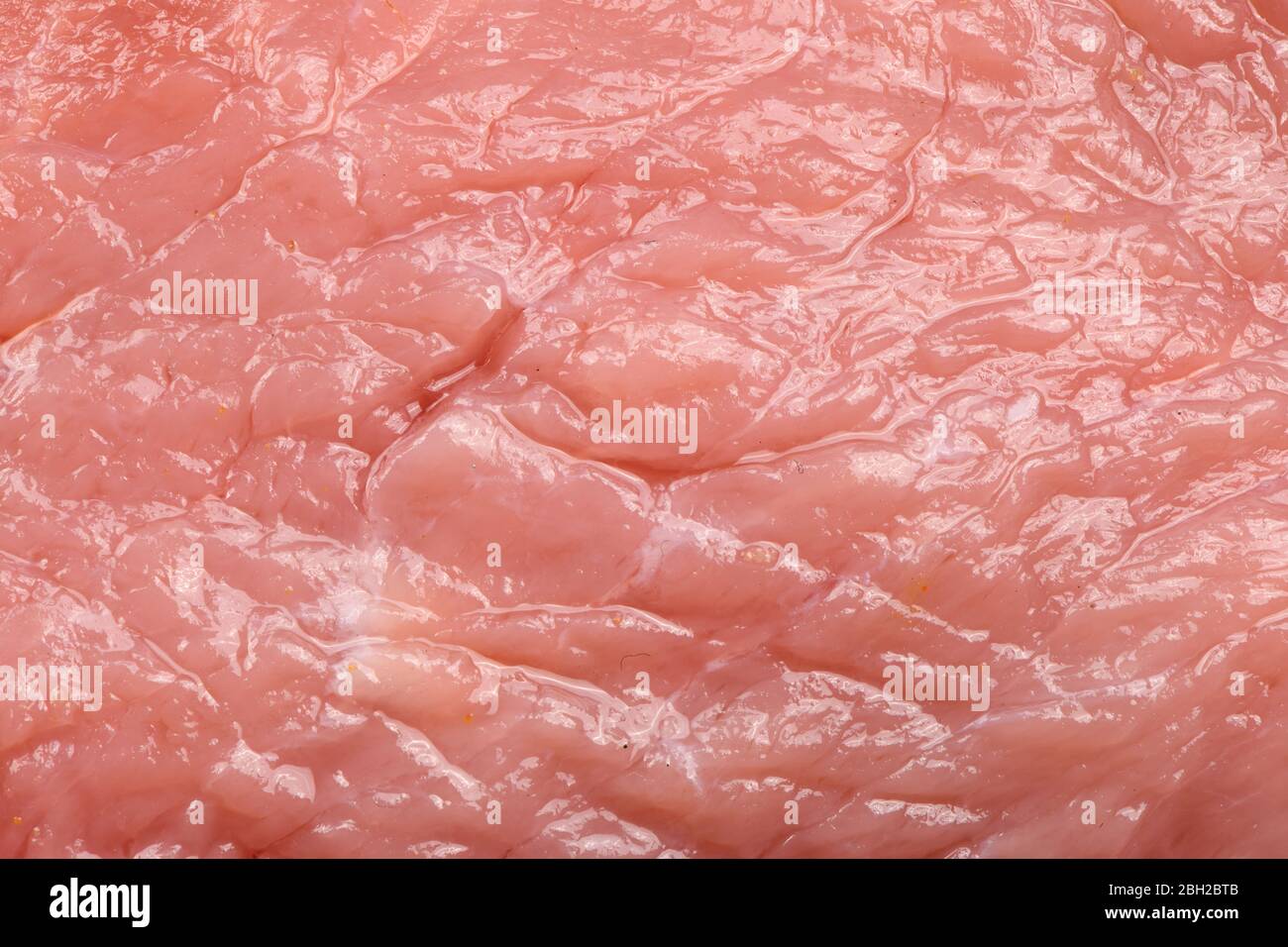 Photo raw meat pork hi-res stock photography and images - Alamy