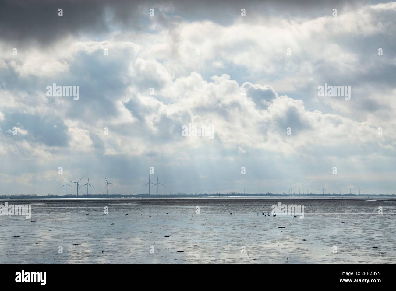 Wind parks hi-res stock photography and images - Alamy