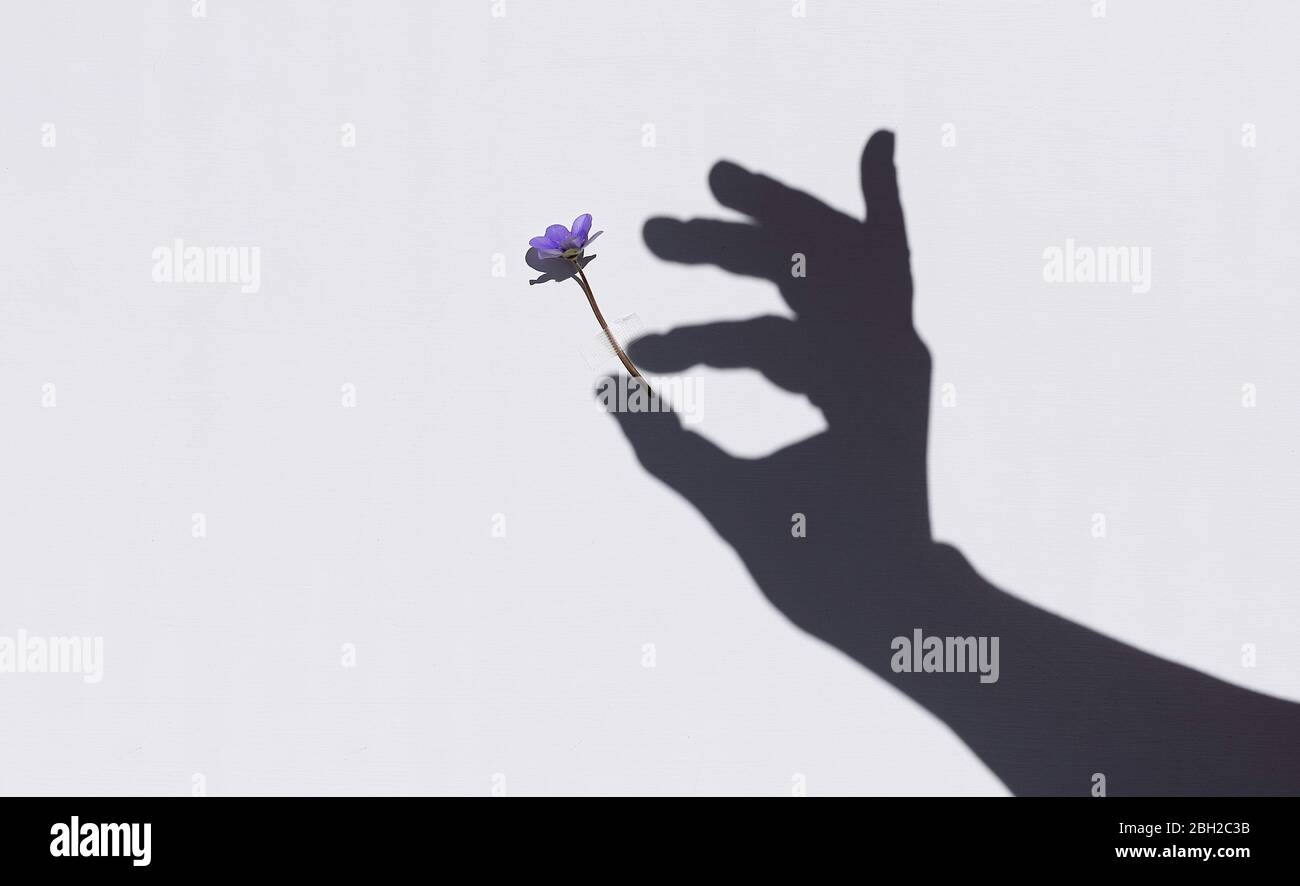 Female finger shadow hi-res stock photography and images - Alamy