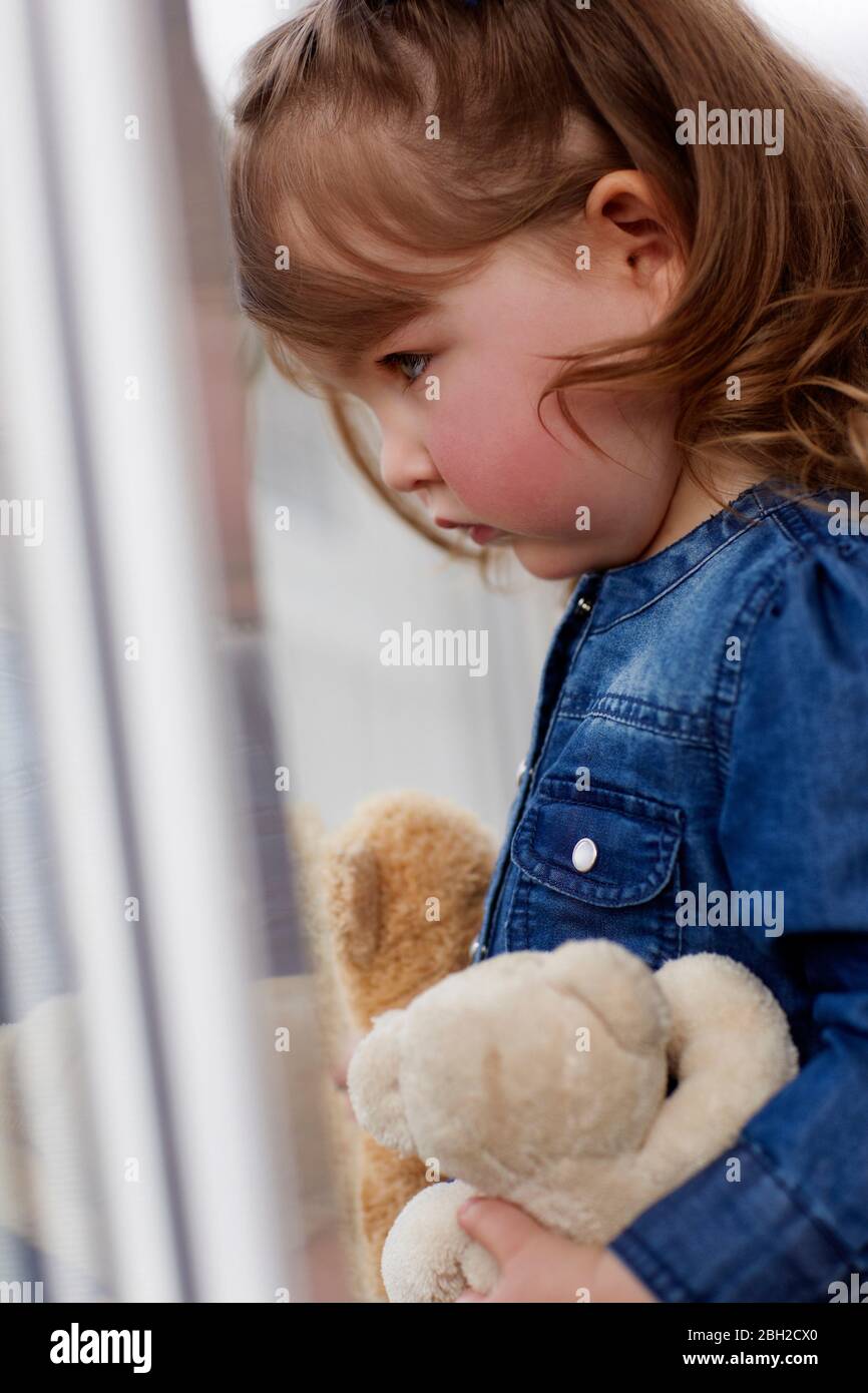 Profile of serious toddler girl with teddy bears Stock Photo - Alamy