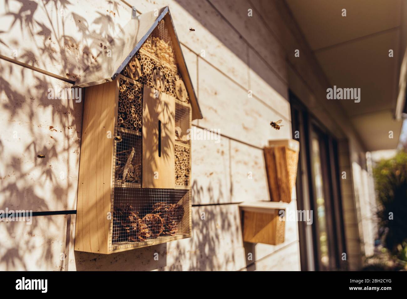 Insect hotel being visited by bees Stock Photo - Alamy
