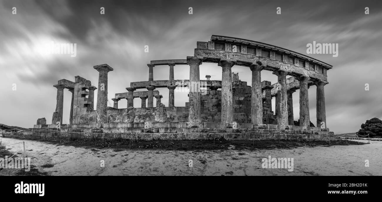 Aphaia egina Black and White Stock Photos & Images - Alamy