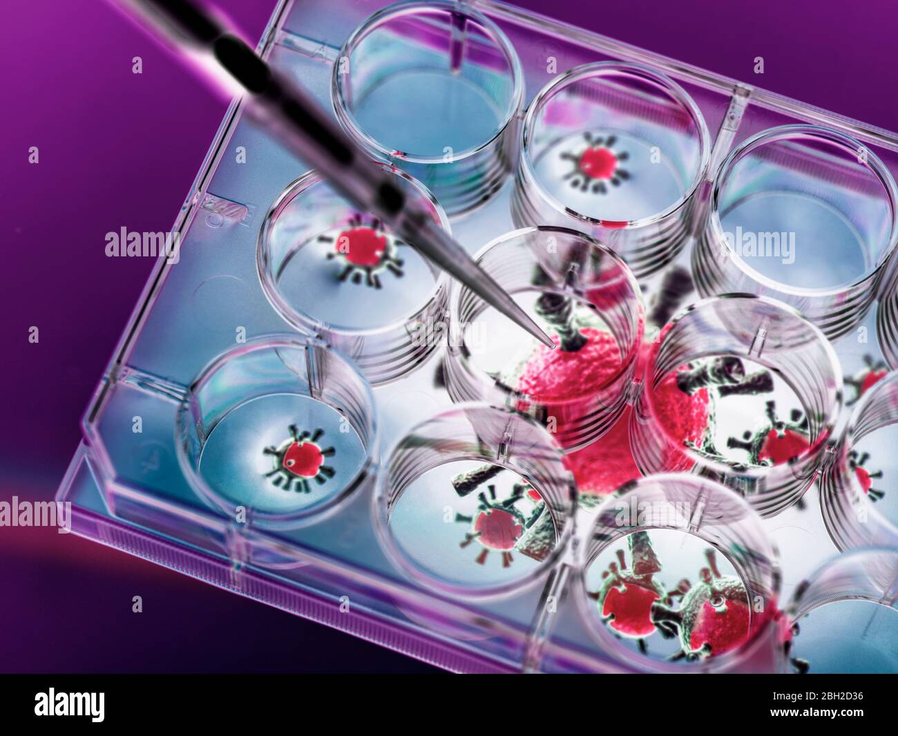 Virological hi-res stock photography and images - Alamy